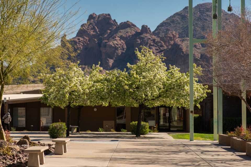 Commercial Landscaping - AZ MetroScapes